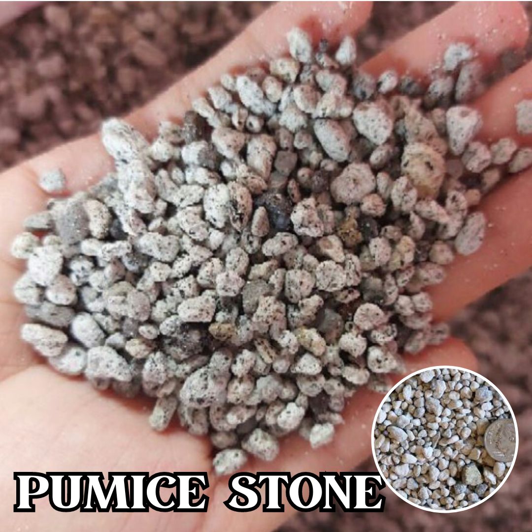 Pumice stone for water filtration of aquarium Sold Per Kilo | Lazada PH