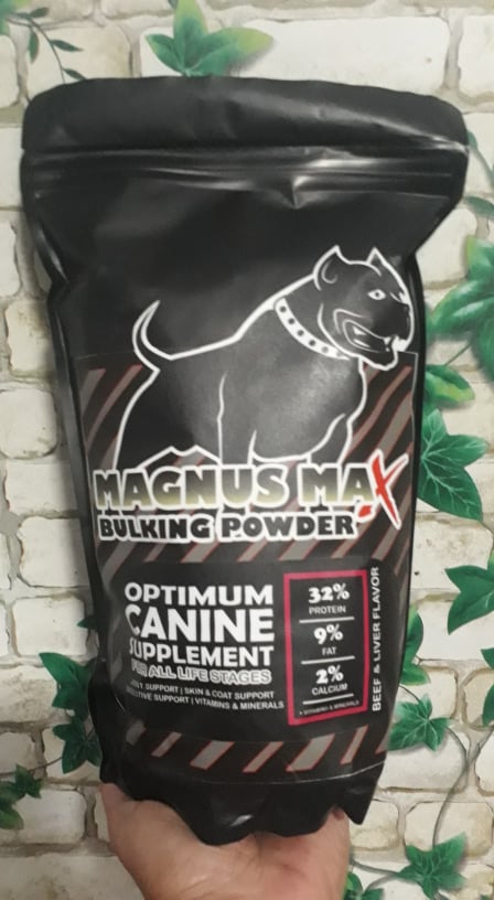 Magnus Max (New/improved 32% Protein) | Lazada PH