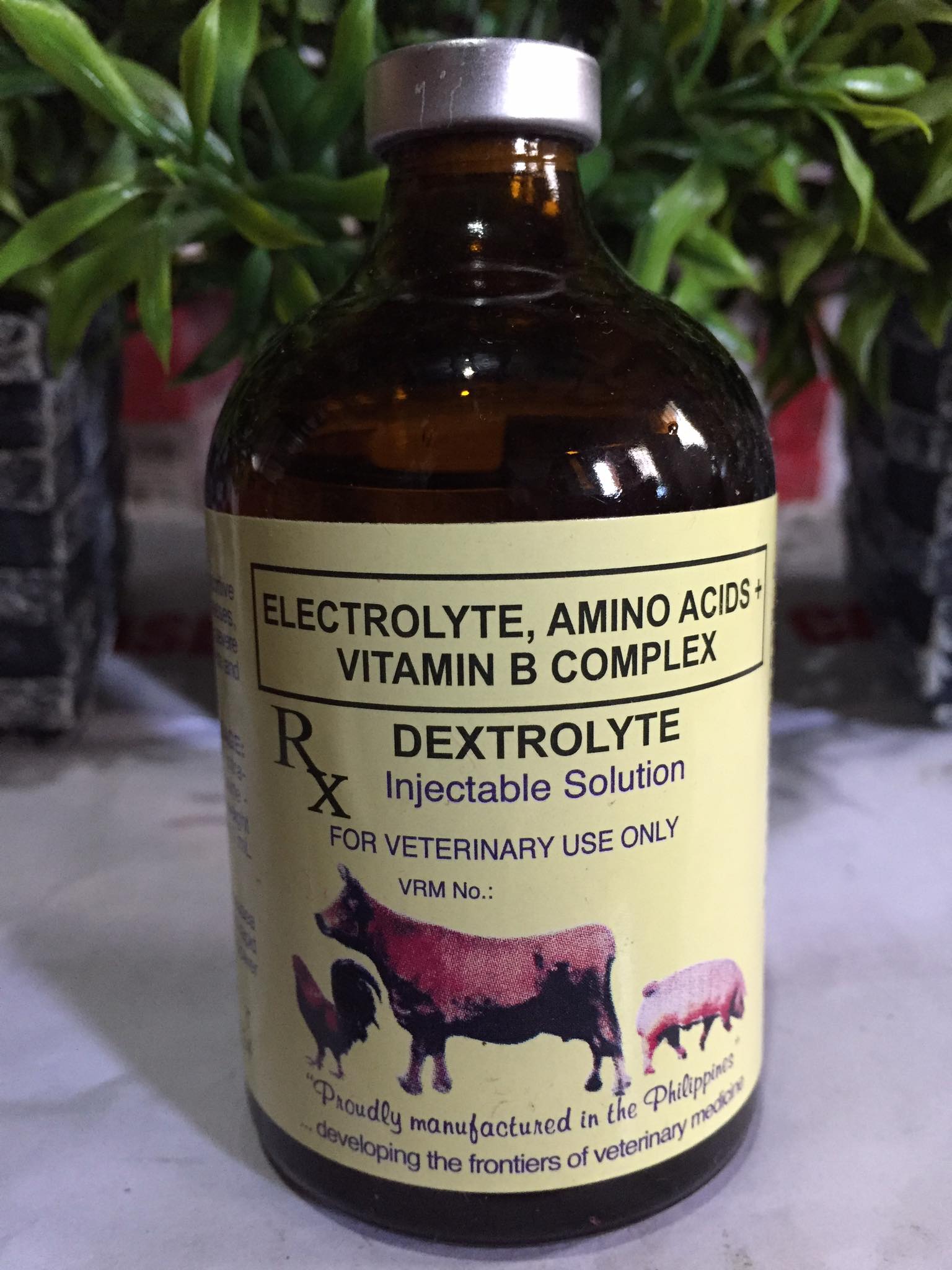 Dextrolyte Electrolyte, Amino Acids + Vitamin B-complex 100mL | Lazada PH