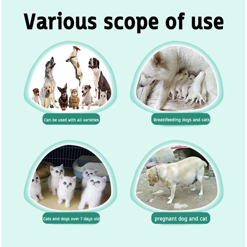 54 Cooking Pet Insect Repellent spray Anti Itch Nakakatanggal ng kati ...