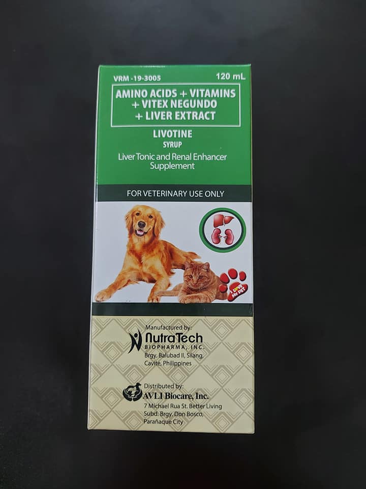 Livotine Syrup 120mL (Liver Tonic and Renal Enhancer Supplement ...