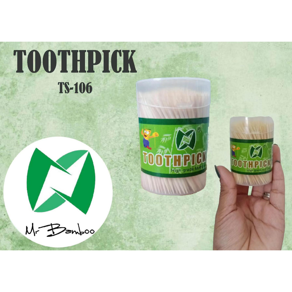 Bamboo Toothpick With Case 1pc | Lazada PH