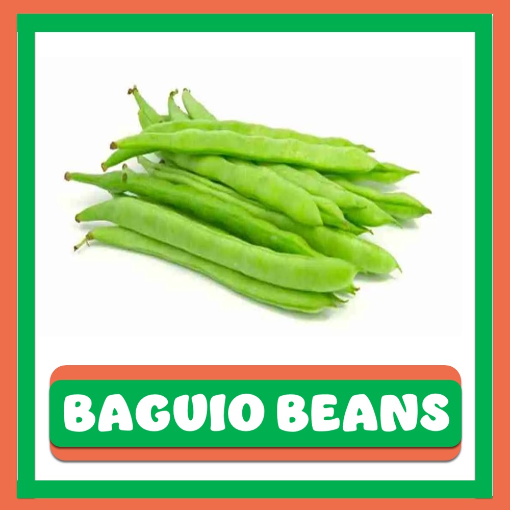 BAGUIO BEANS/ SEEDS/VEGETABLE SEEDS | Lazada PH