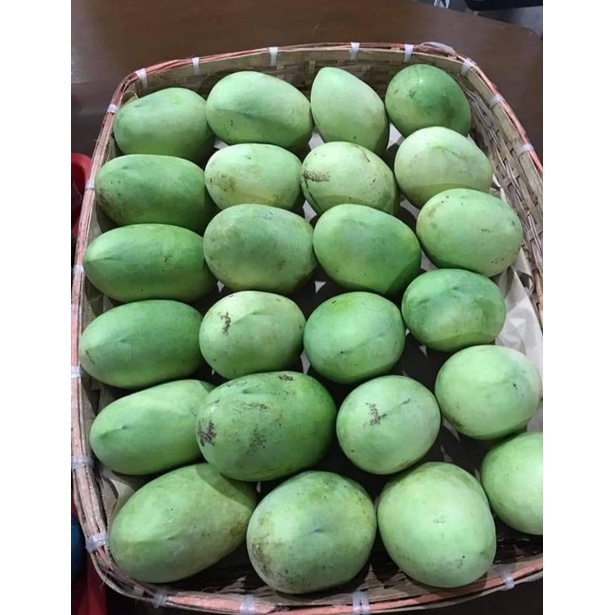 Fresh Green Mango 1 Kilo per Order | Lazada PH