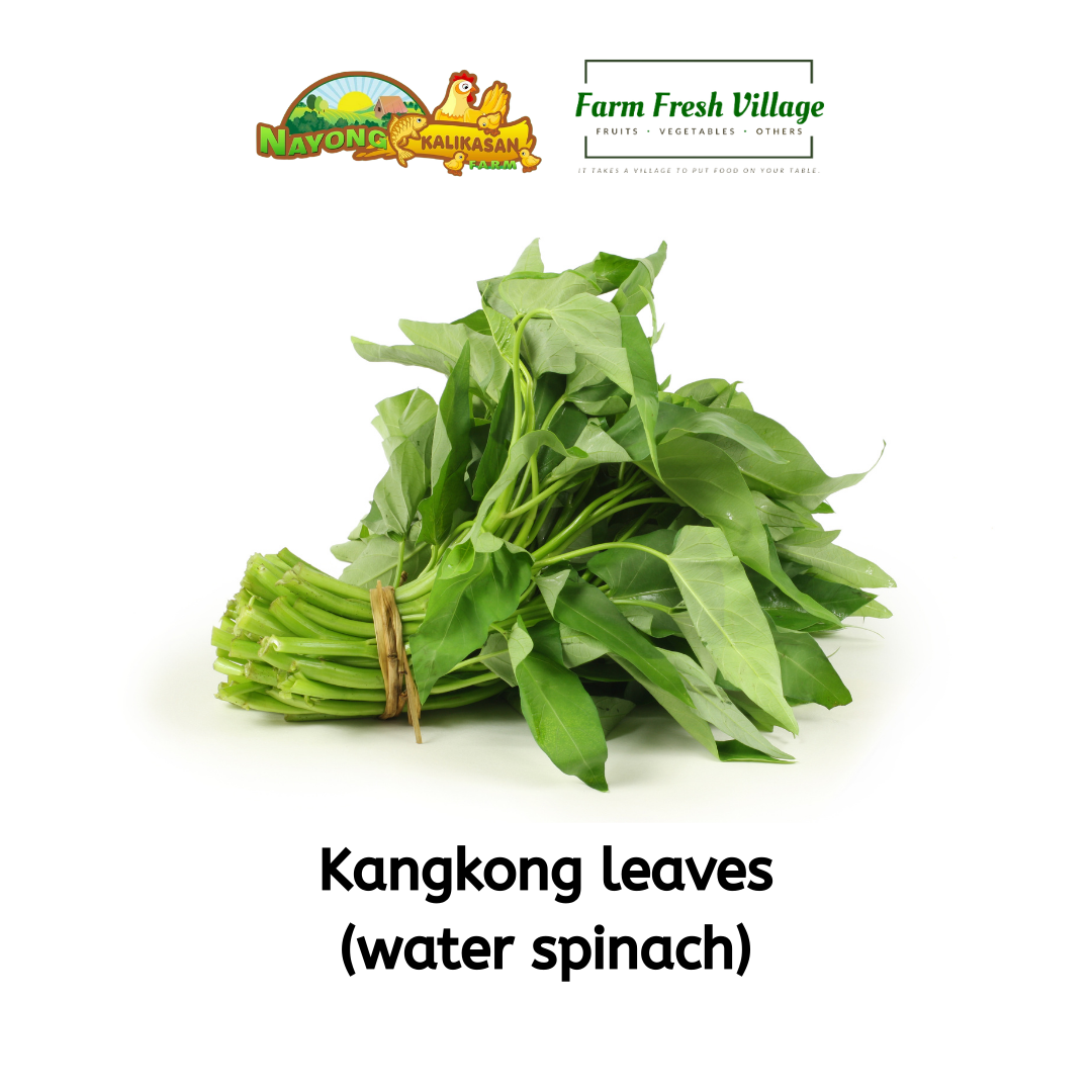 FARM FRESH VILLAGE - Kangkong leaves per tali | Lazada PH