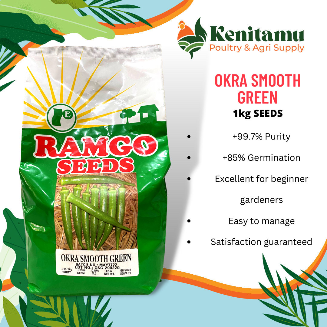 OKRA SMOOTH GREEN 1kg SEEDS BY: RAMGO | Lazada PH