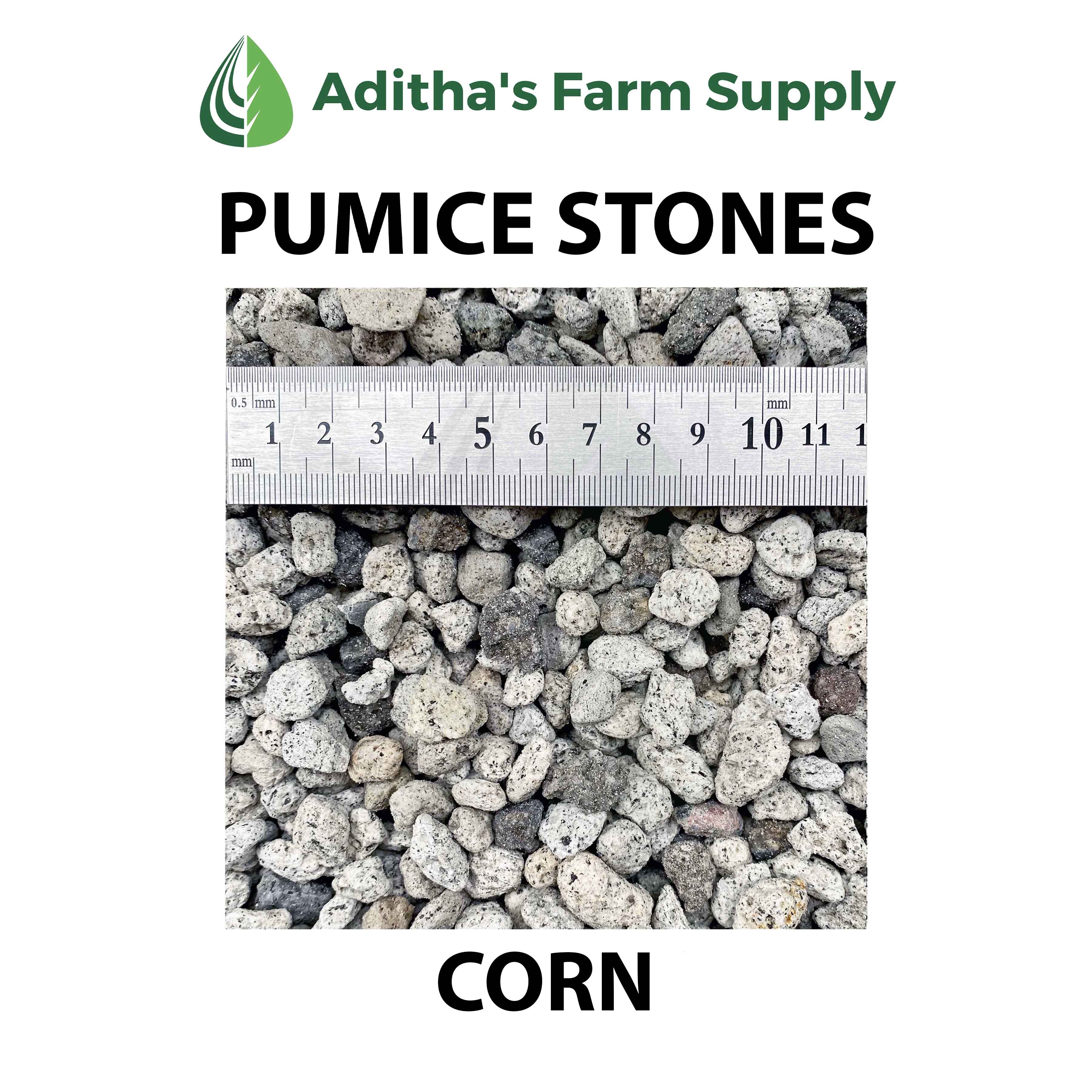 Pumice Stones (Sugar, Monggo, Matanghito, 1cm, Corn, Assorted ...