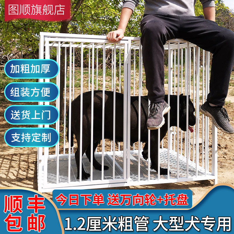 Large Dog Cage Medium Labrador Golden Hair Samoyed Alaskan Border ...