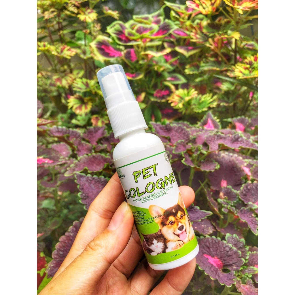 Madre De Cacao Pet Cologne Johnson's Baby Powder Scent 50ml - Alcohol ...