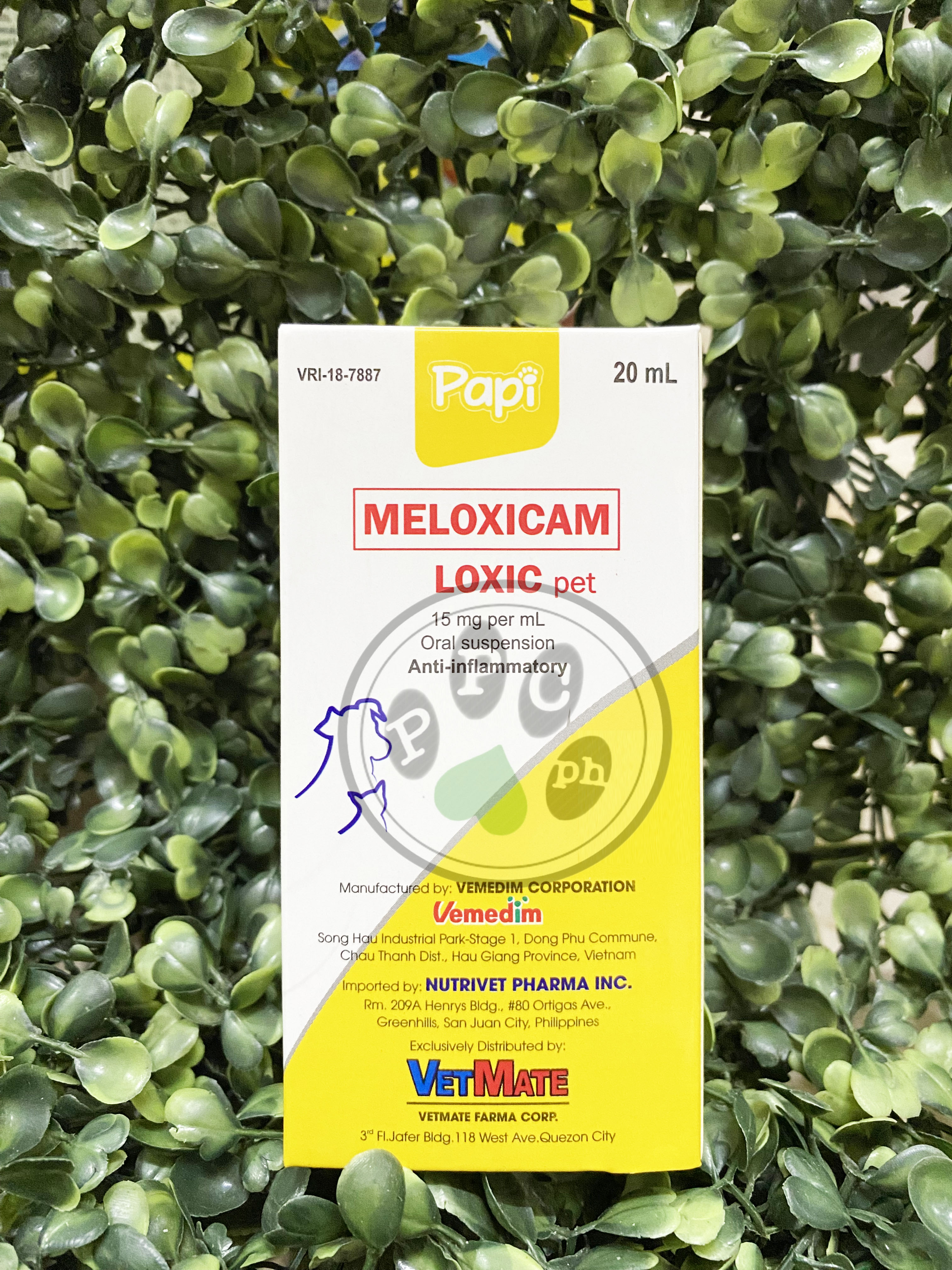 Papi Loxic For Pets Meloxicam 20ml | Lazada PH