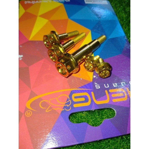 HONDA CLICK V2/V3 /CLICK 160 LEVER BOLTS AND FLUID BOLTS SET /HENG GOLD ...