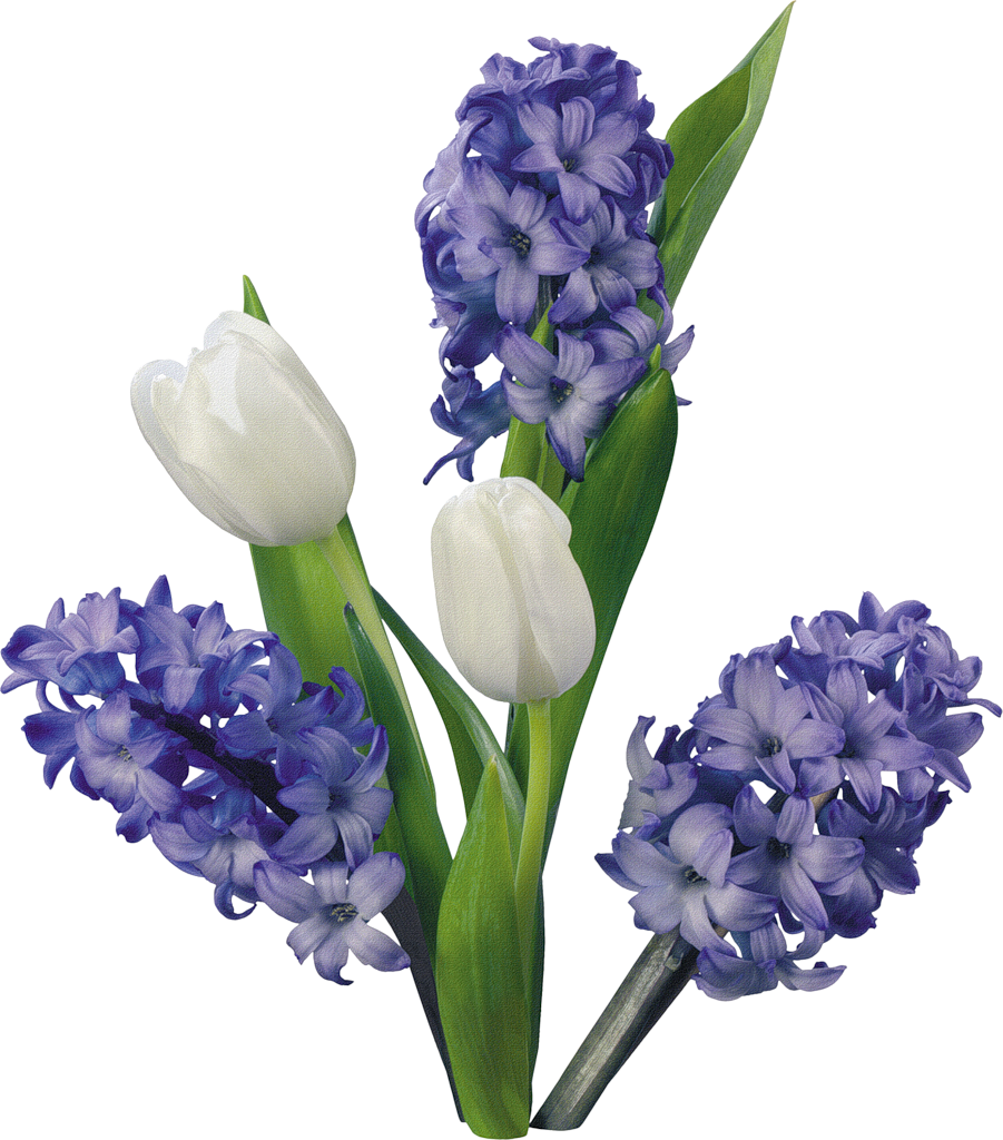 Customized Sticker label 100 pcs for dishwashing liquid water proof all ...