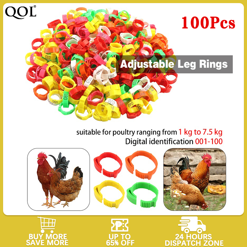 Qinoulieran 100Pcs Chicken Feet Tags Adjustable Leg Band for Chicken ...