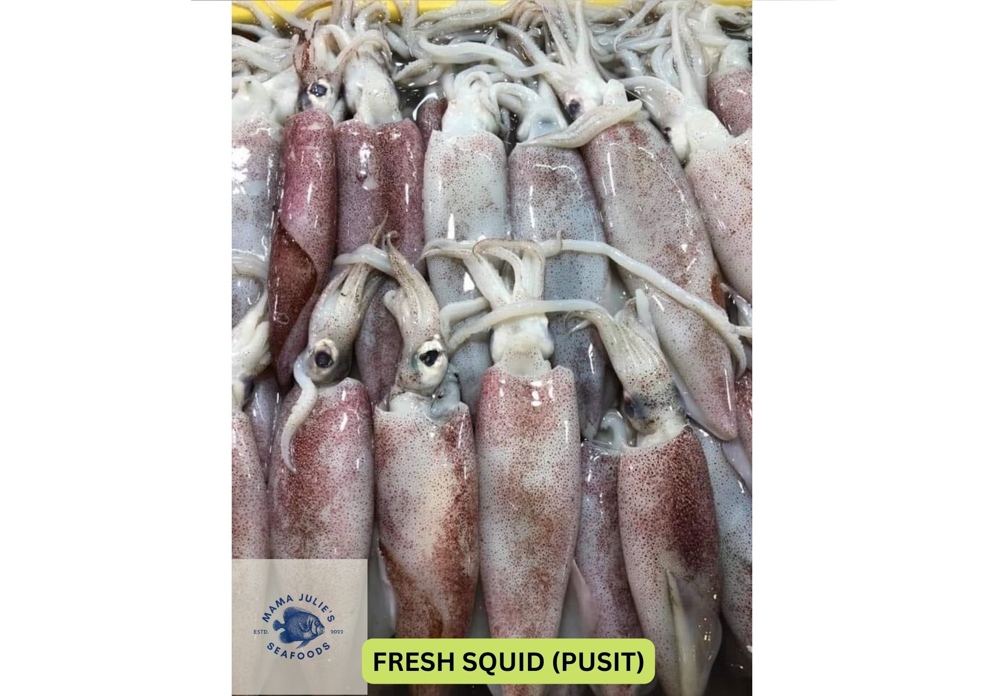 Fresh Squid (Pusit Adobo) | Lazada PH