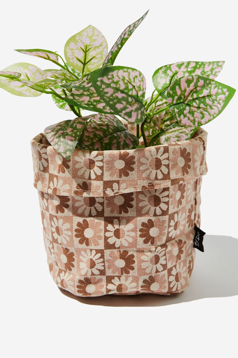 TYPO - CANVAS PLANTER - CHECKERBOARD DAISY CLAY | Lazada PH