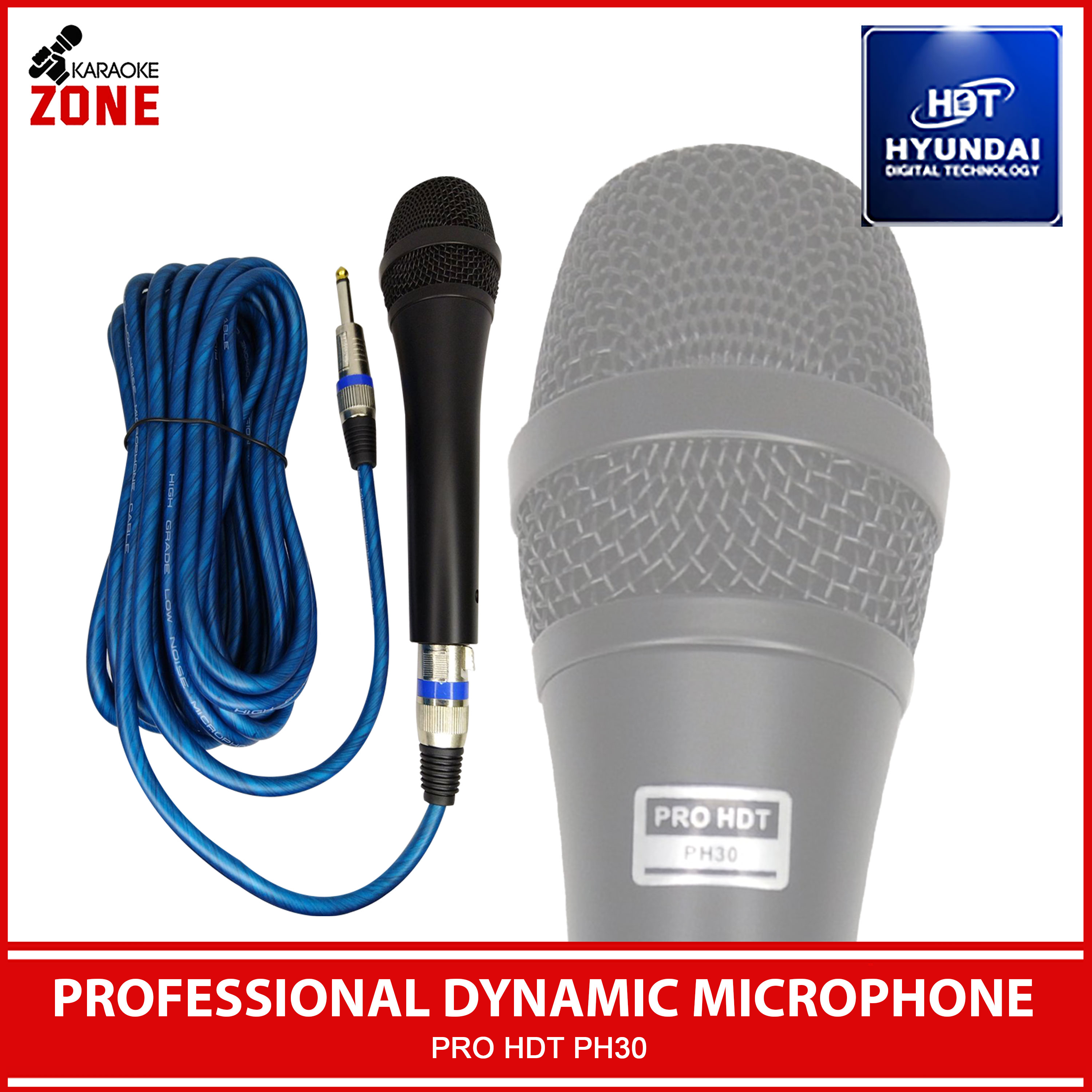 PRO HDT PH30 Microphone / Professional Microphone / Vocal Mic | Lazada PH