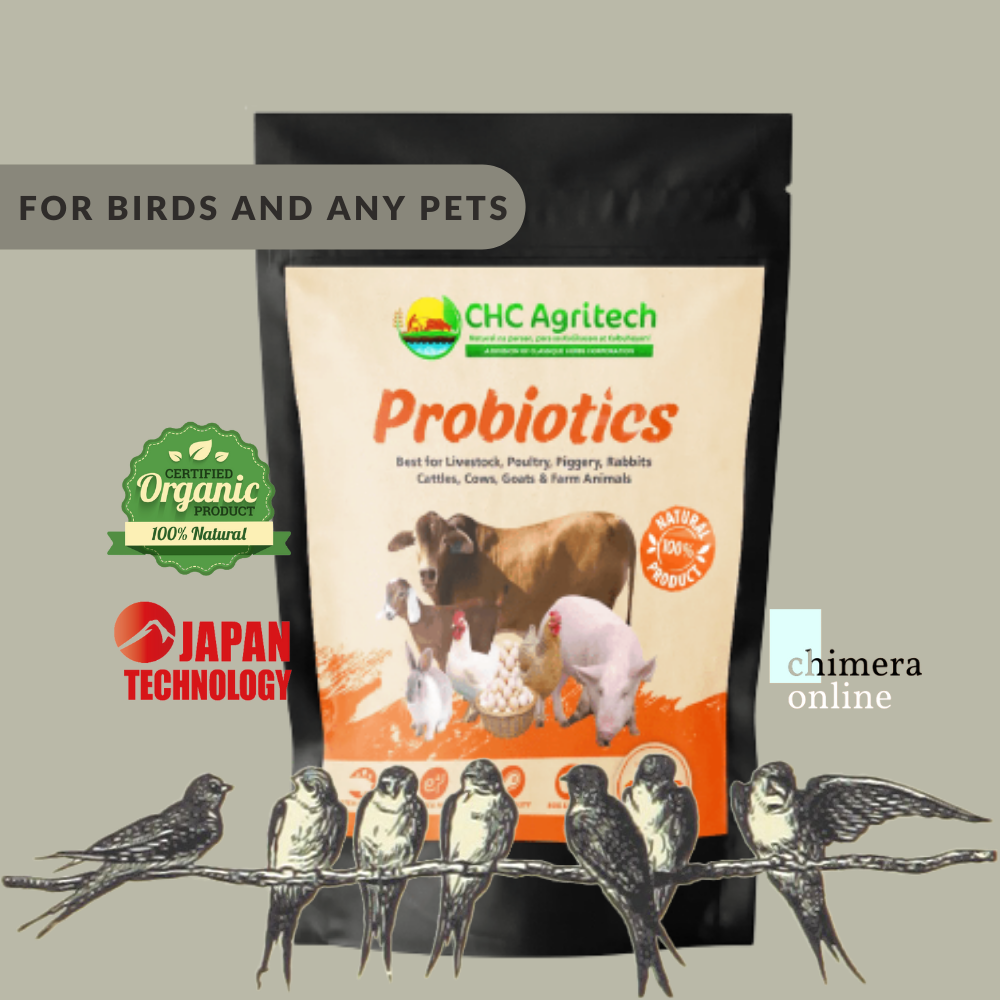 Probiotics for Pigeon | CHC Agritech Japan Technology | Probiotics ...