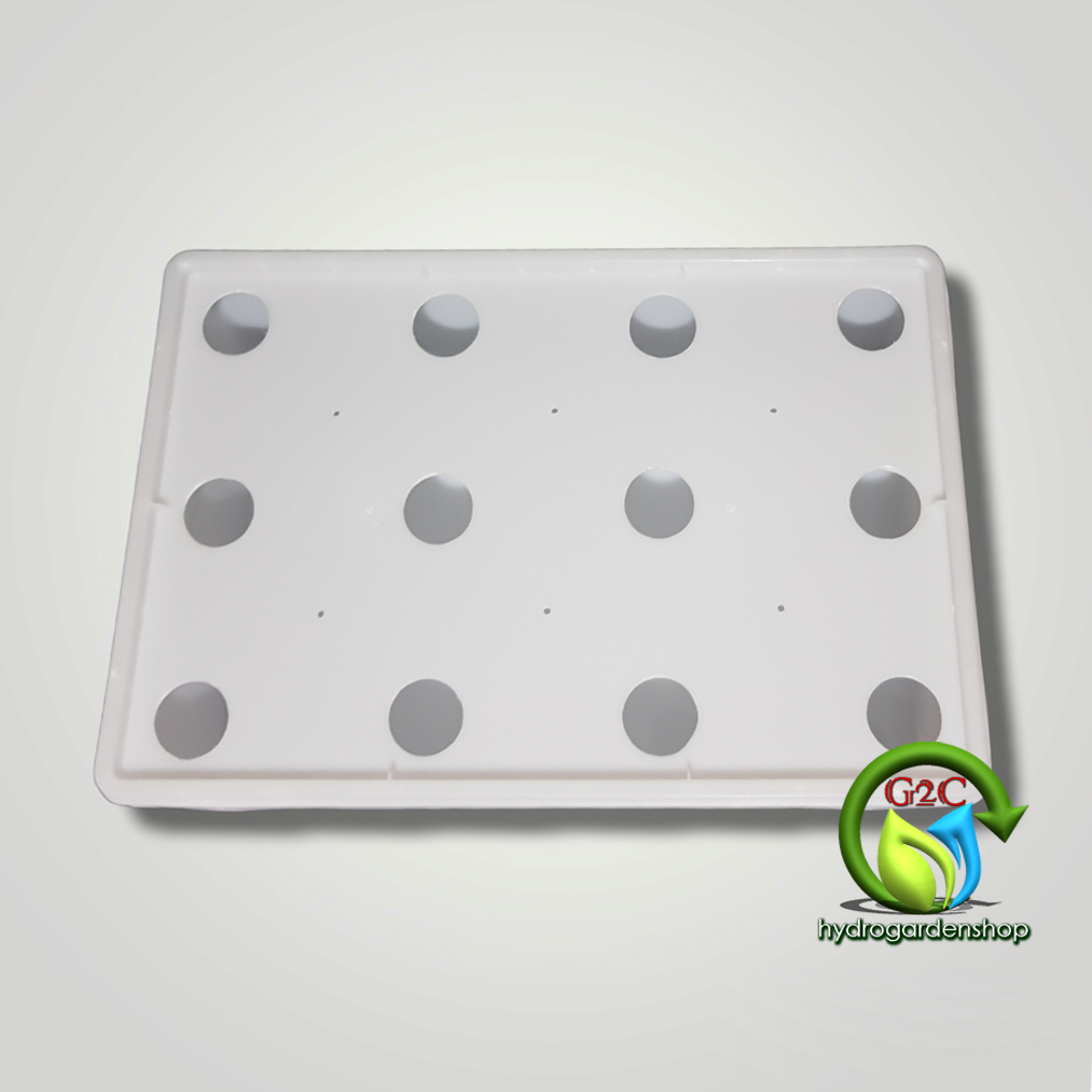 Hydroponics Grow box 12holes, 2.75inches hole diameter (white) | Lazada PH