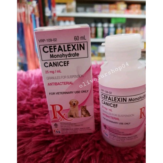 CANICEF ( Cefalexin) 25 mg/ ml for dogs and cats 60ml | Lazada PH