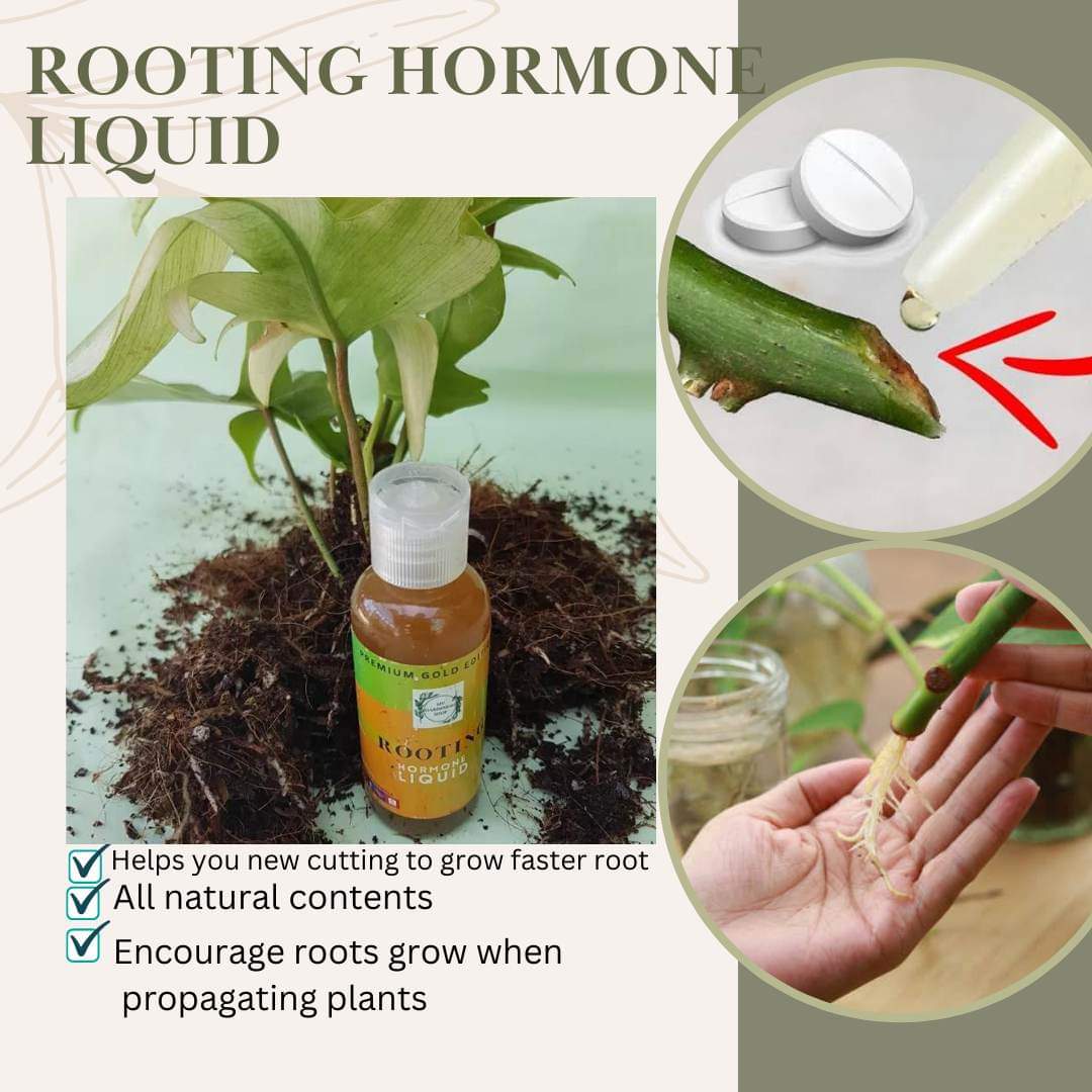 LIQUID ROOTING HORMONE 50ML ORGANIC | Lazada PH