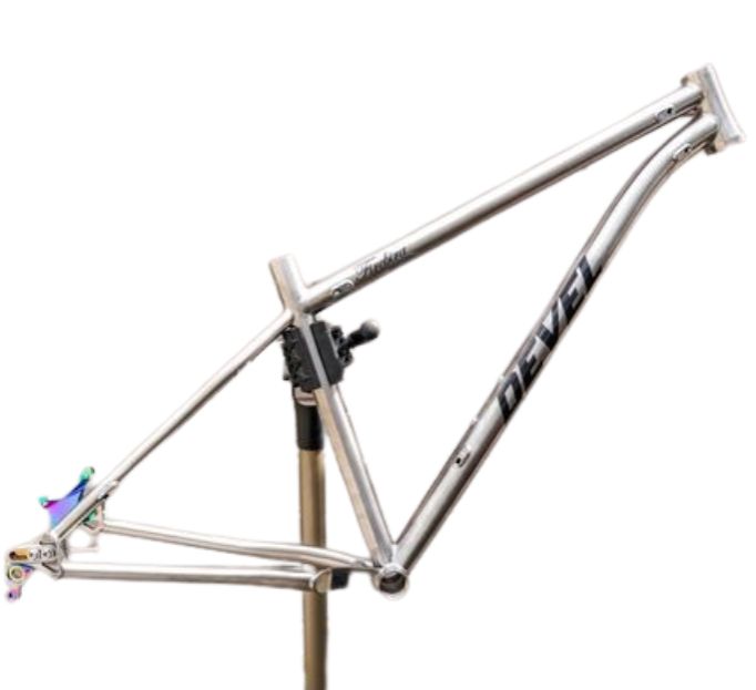 Devel Project Firebird 29er Titanium | Lazada PH