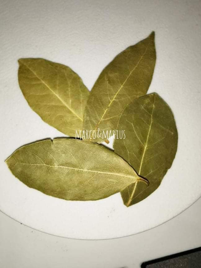 SMALL Dried Laurel Leaves Whole / Dahon ng Laurel Buo 40g | Lazada PH