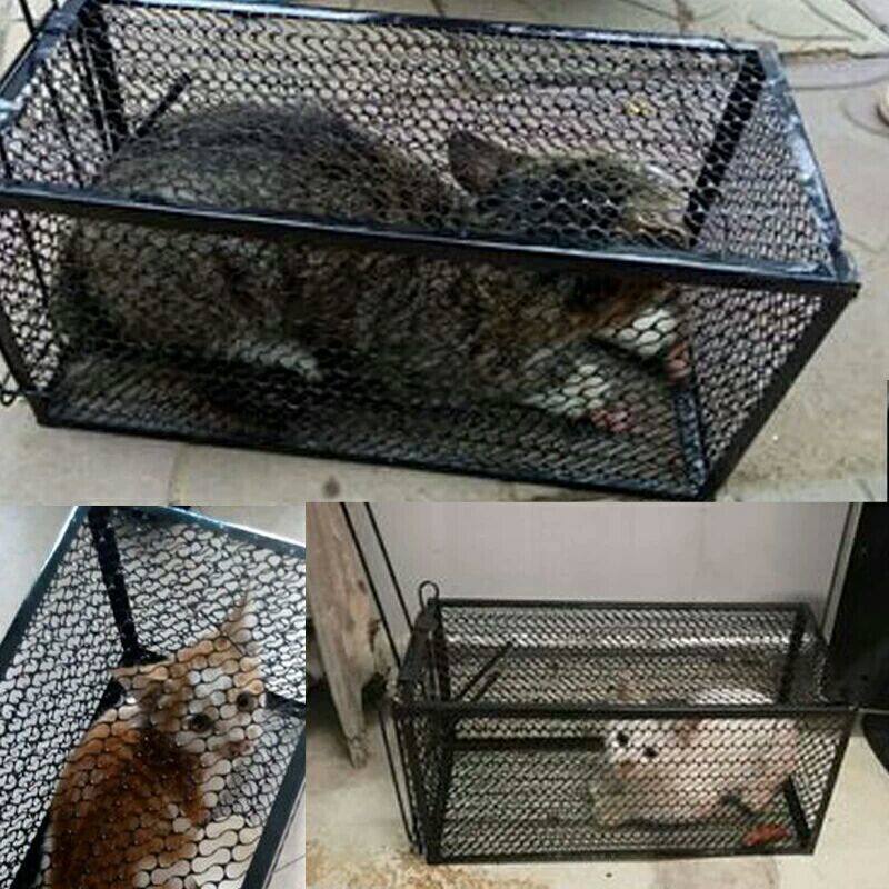 YAUSHING Large mouse cage cage to catch the cat cat catchers artifact ...