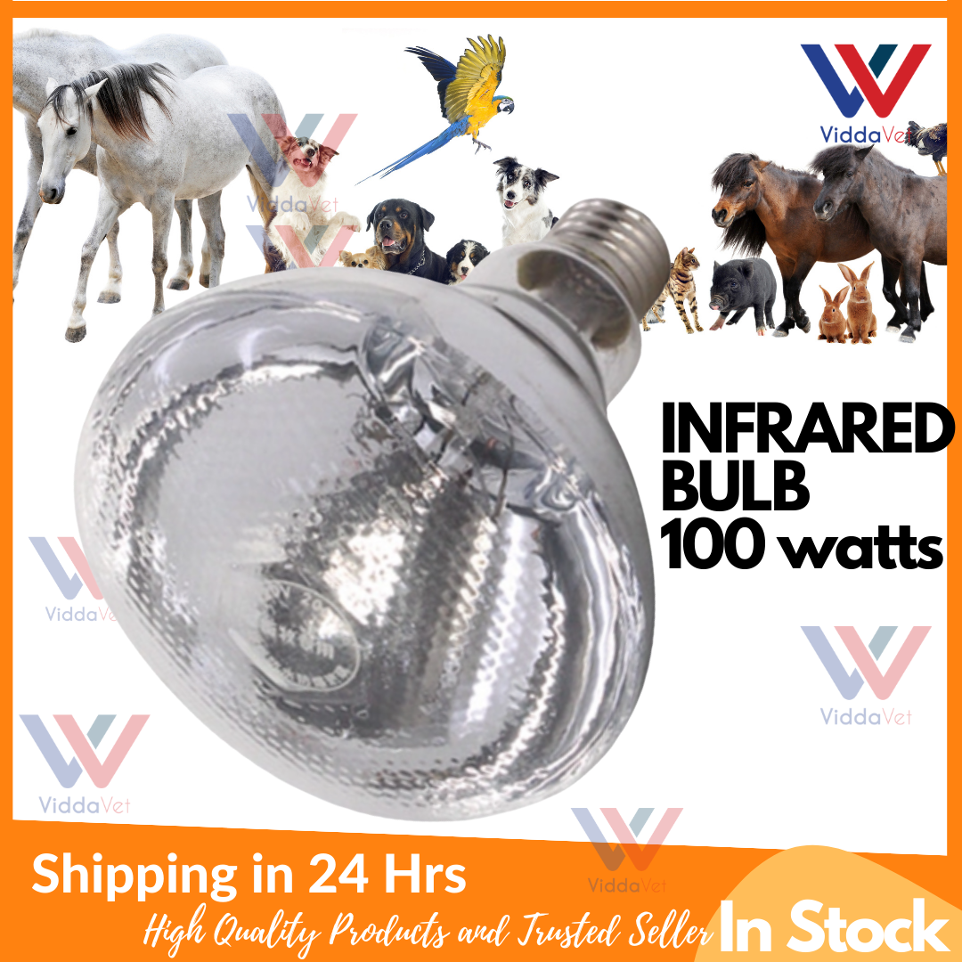 100 watts Infrared Heat Lamp Bulb for Livestock pigs poultry goat ...