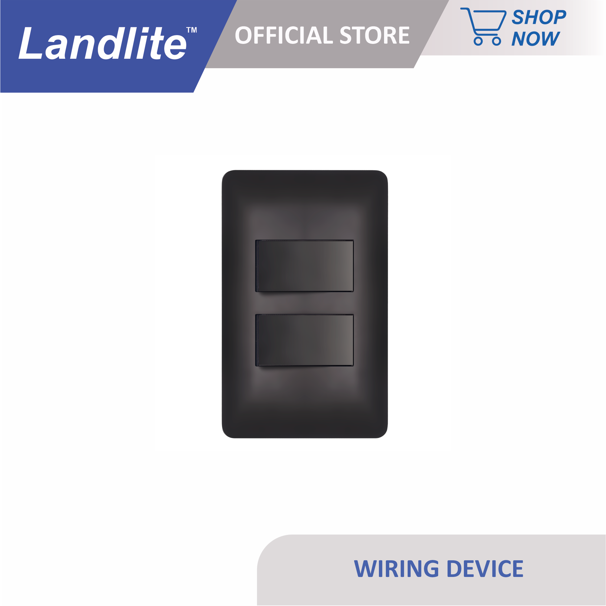 Landlite Wiring Devices LWD-SWPL-2G-1W-BLK | Lazada PH