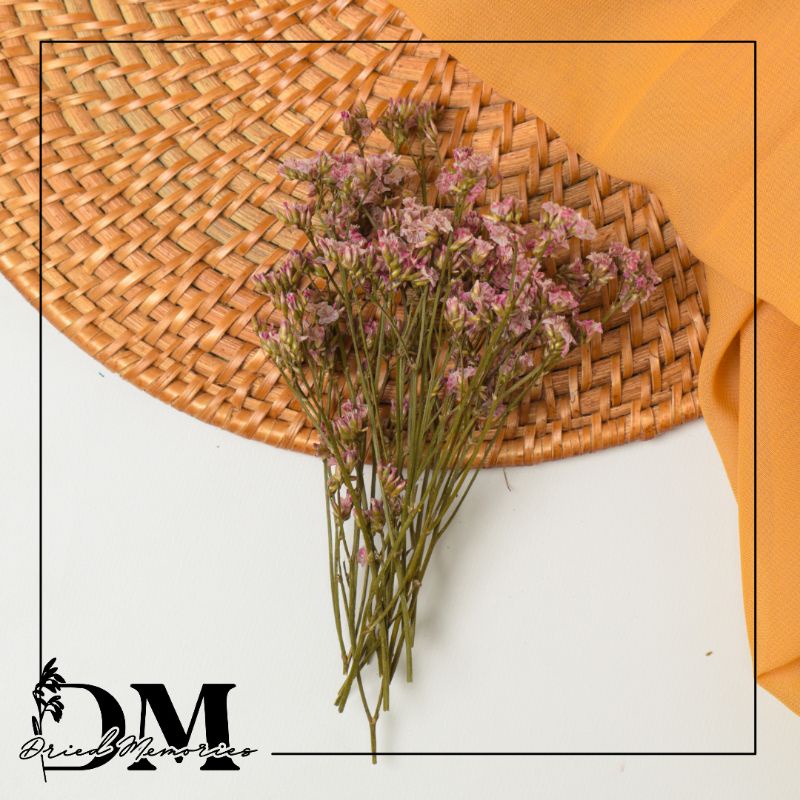 Dried Small Caspia Preserved Dried Misty Flower | Dried Memories PH ...