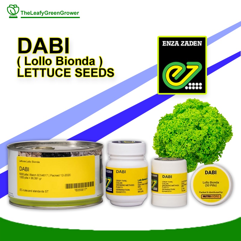 EZ DABI (Lollo Bionda) Lettuce Pelletized Seeds 400 Pills | For ...