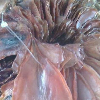 Dried Pusit / Daing na Pusit (BIG) | Lazada PH