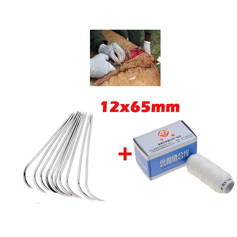12x65mm Veterinary Surgical Suture Needle Curve Suture Thread Stainless ...