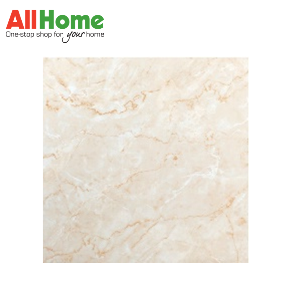 TILES LUSTRO WF 60X60 6B001 LETTERED BROWN FOR FLOOR | Lazada PH