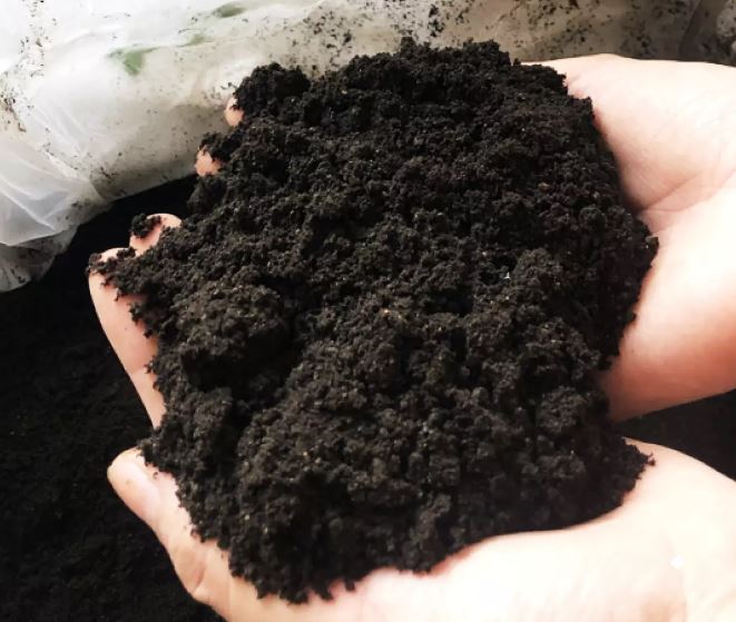Vermicast Pure Organic Soil Enhancer (2 KG PACK SIZE) | Lazada PH