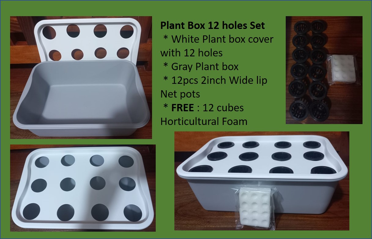 5sets per pack - Plant Box 12 holes with Net pots, Free Horticultural ...