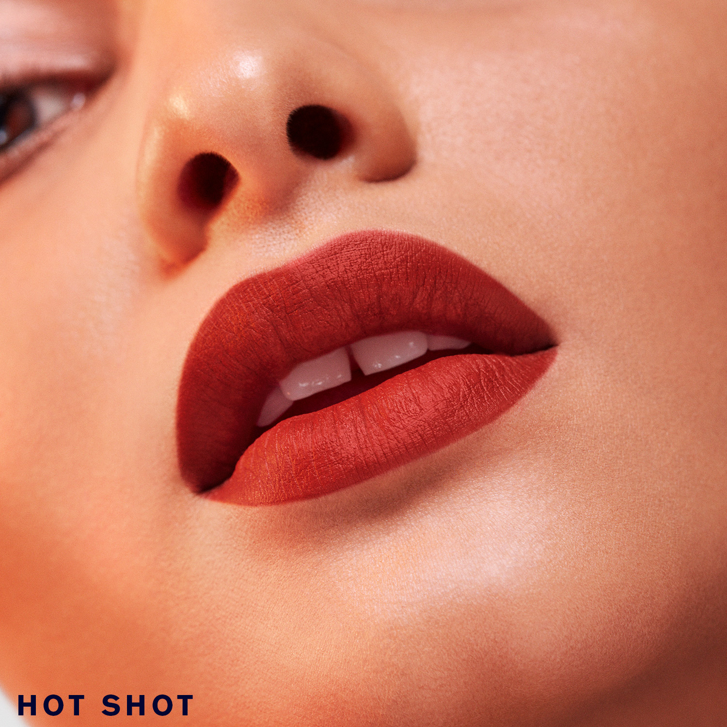Estee Lauder Pure Color Whipped Matte Lip - Velvet matte finish make up ...
