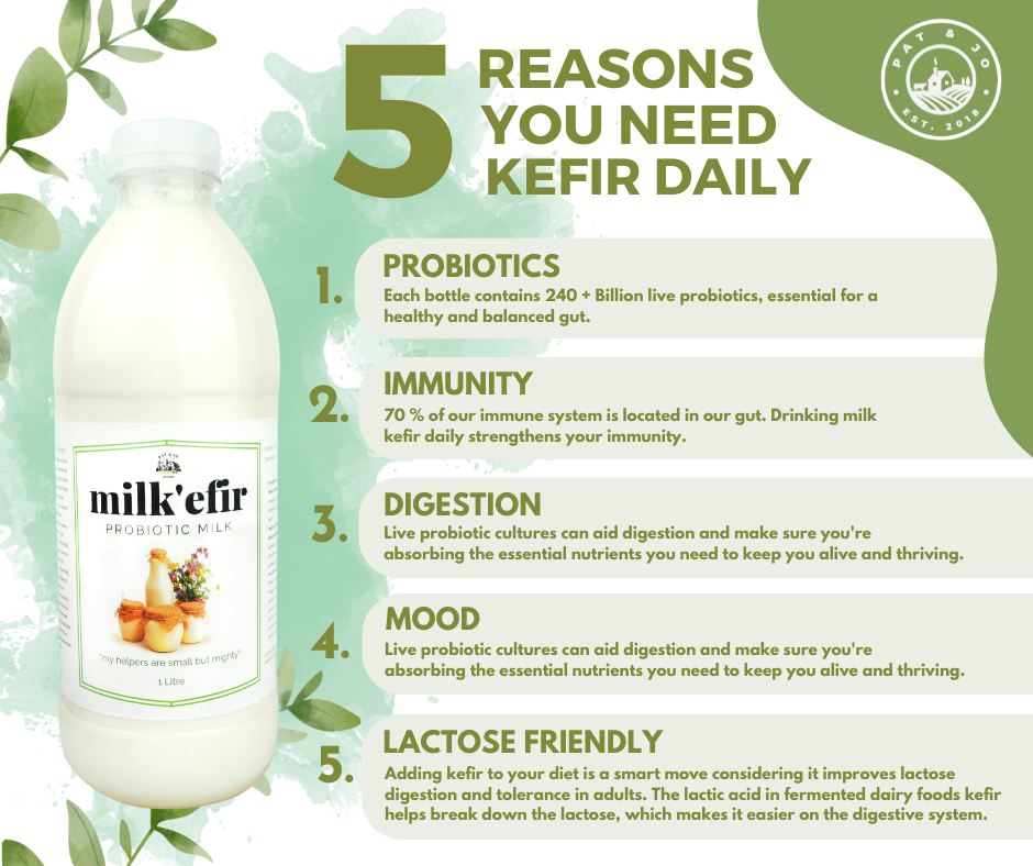 Milk Kefir ( 1 liter, Unflavored ) | Lazada PH