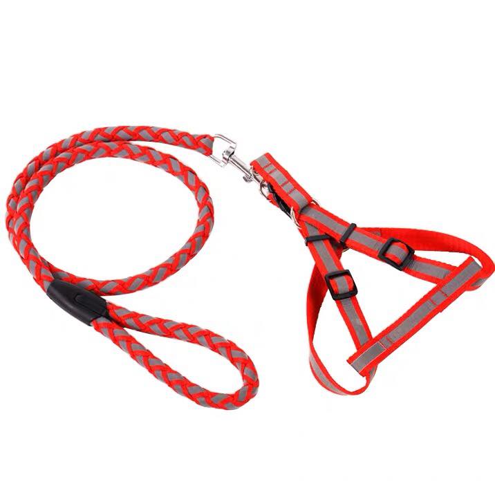 Muling sumasalamin sa dibdib ng aso alagang hayop awtomatikong ...