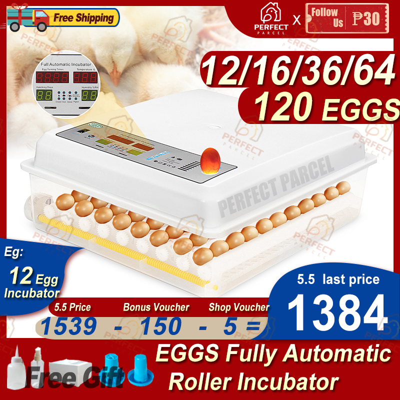 220V 12/16/36/56/64/120 Eggs Incubator Digital Automatic Egg Incubator ...
