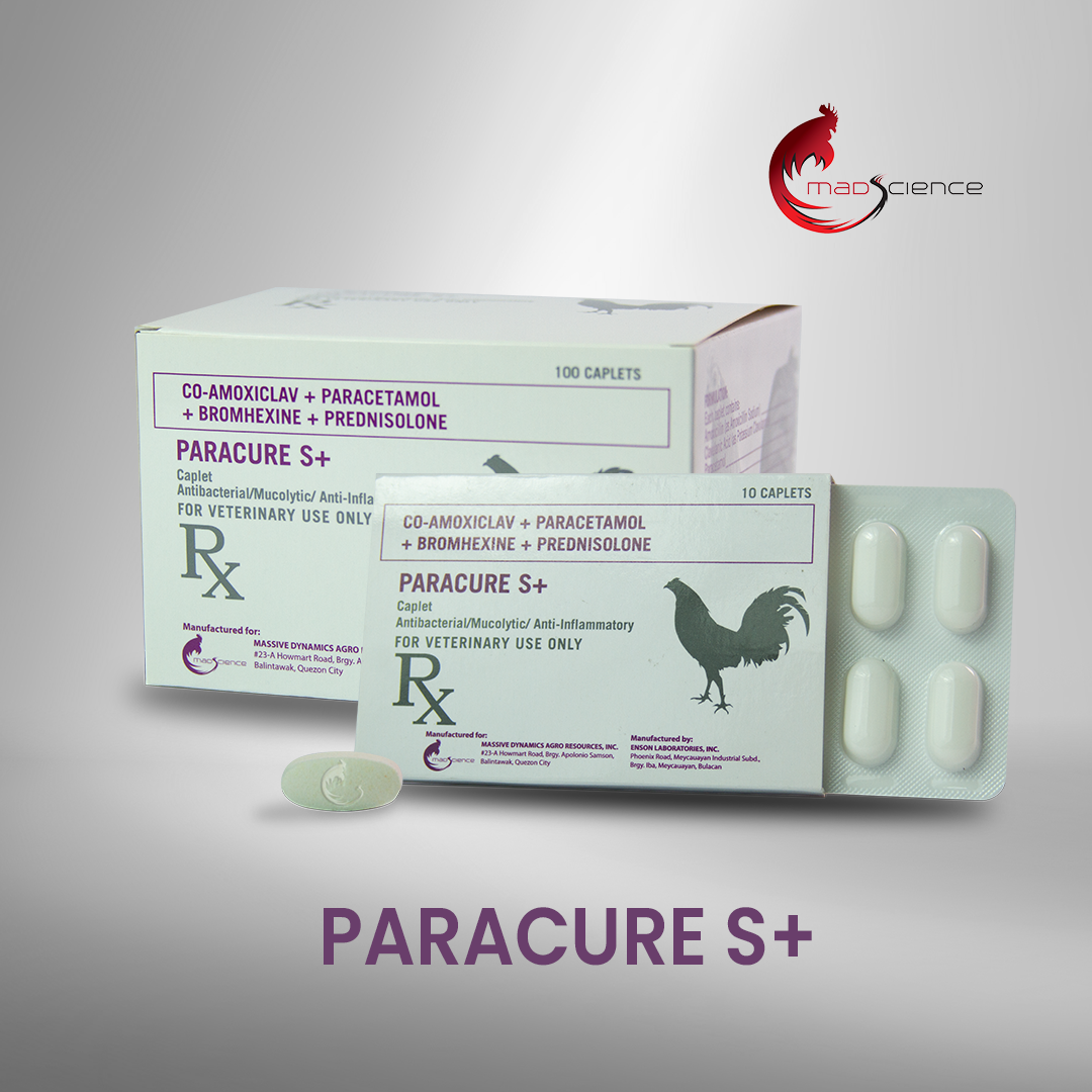 Paracure S+ | Lazada PH
