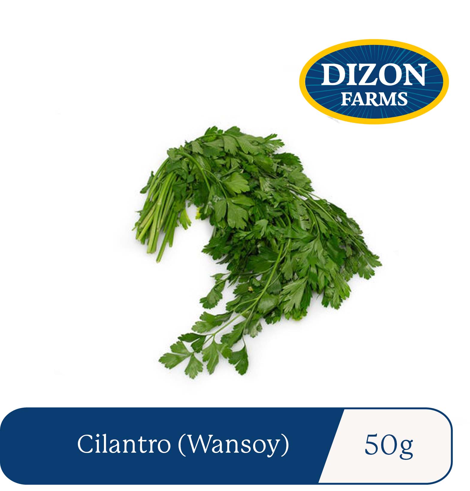 Dizon Farms - Cilantro (Wansoy) / 50g | Lazada PH