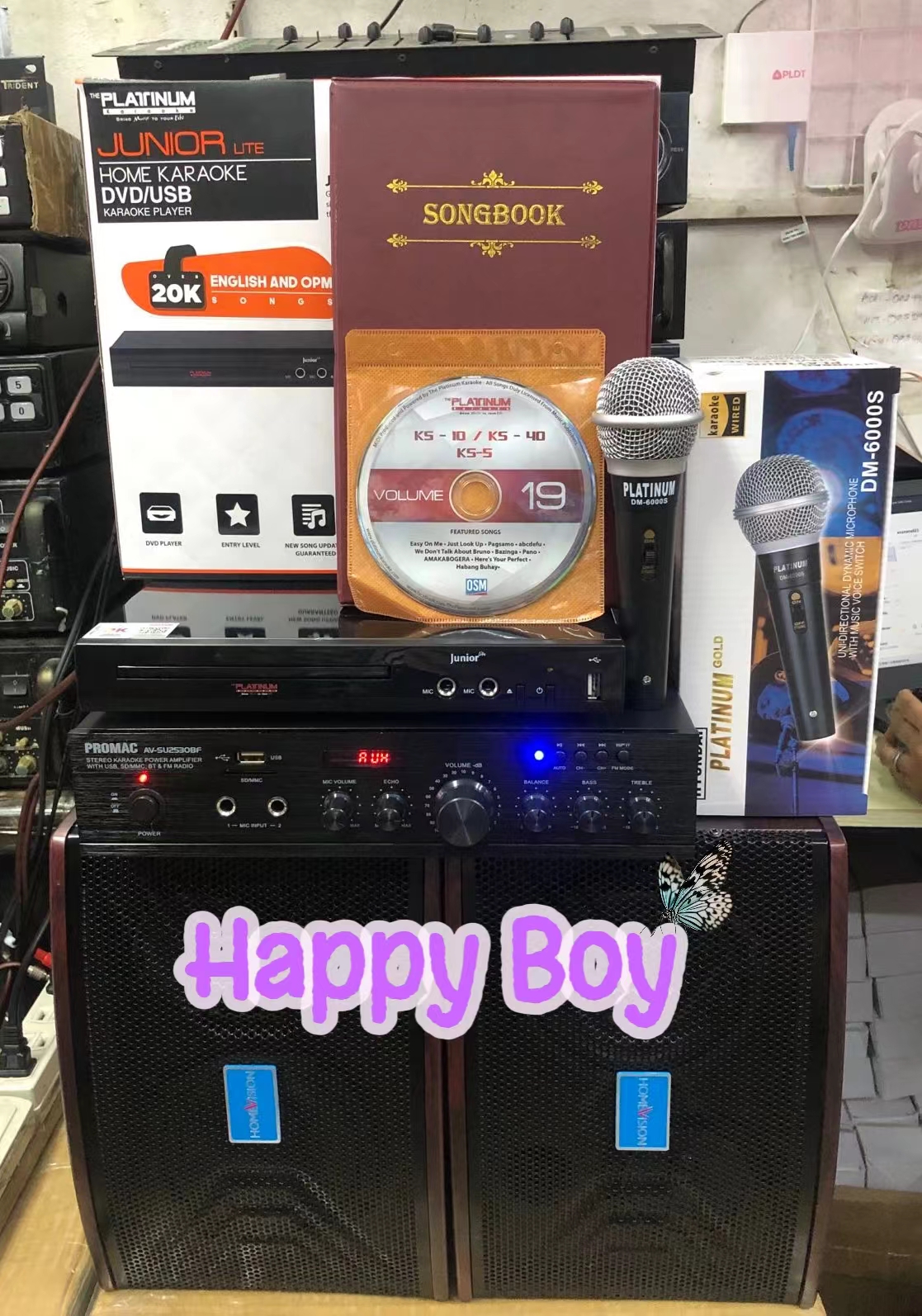 Complete Videoke Set with Platinum KS-5 DVD/Karaoke Player with ...