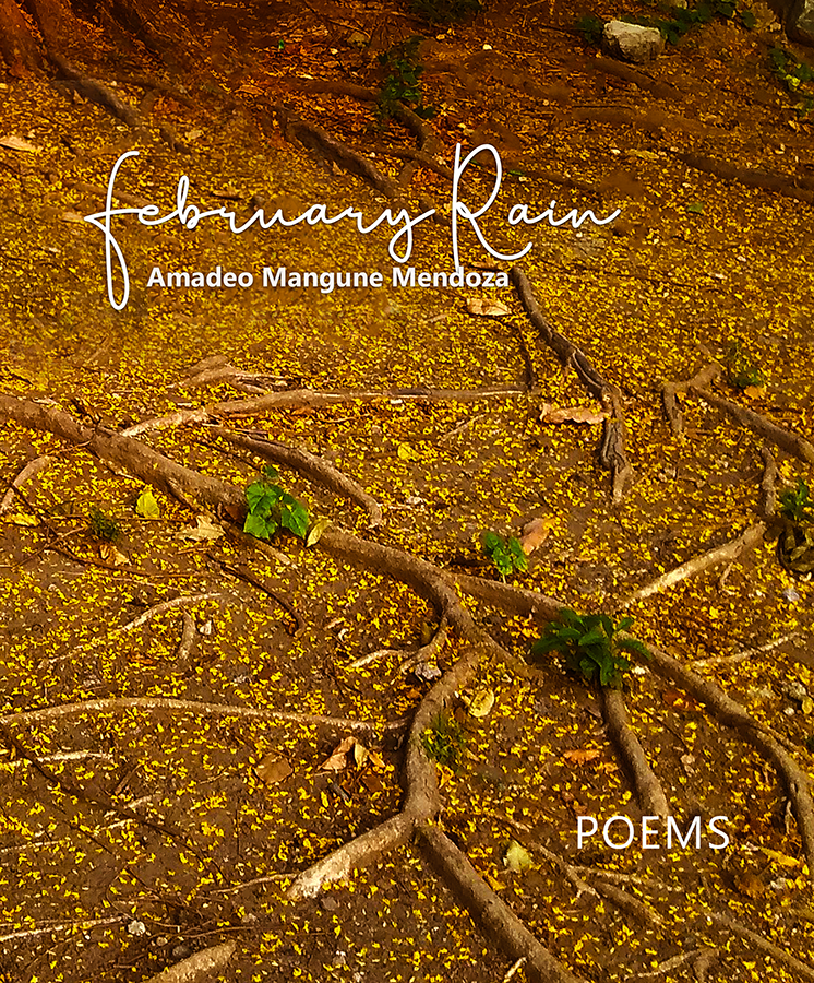 February Rain | Lazada PH