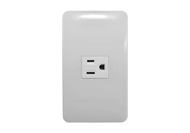 OMNI Convenience Outlet with Ground in Plate P1-EG-PK | Lazada PH