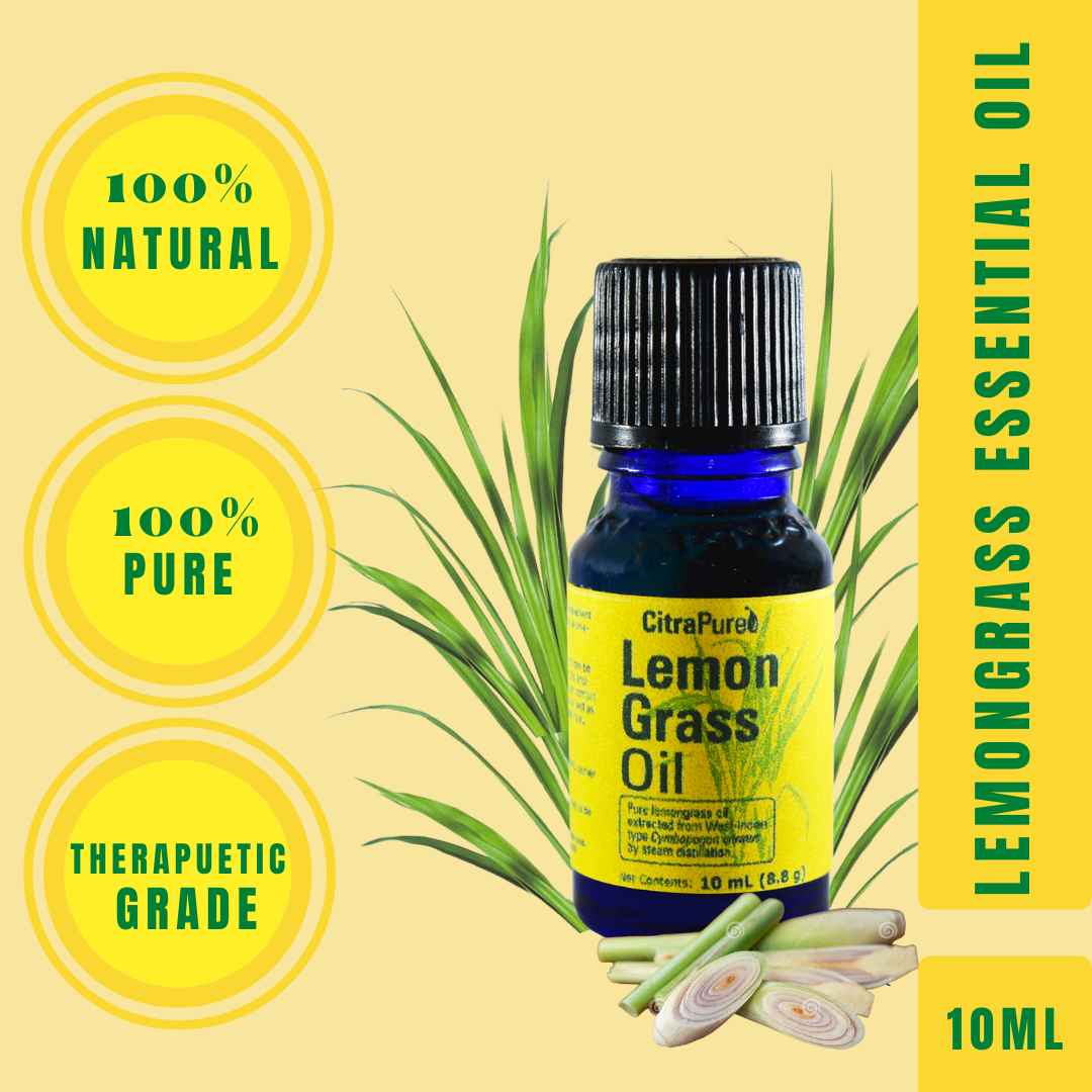 CitraPure Lemongrass Pure Essential Oil | Lazada PH