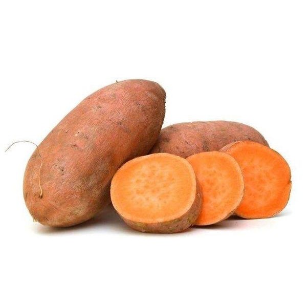 sweet potato rootcrop plant seeds kamote | Lazada PH