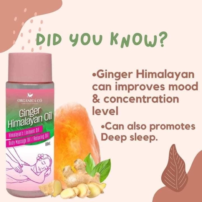 ♔Ginger Himalayan Nasal Inhaler by FBP | Lazada PH