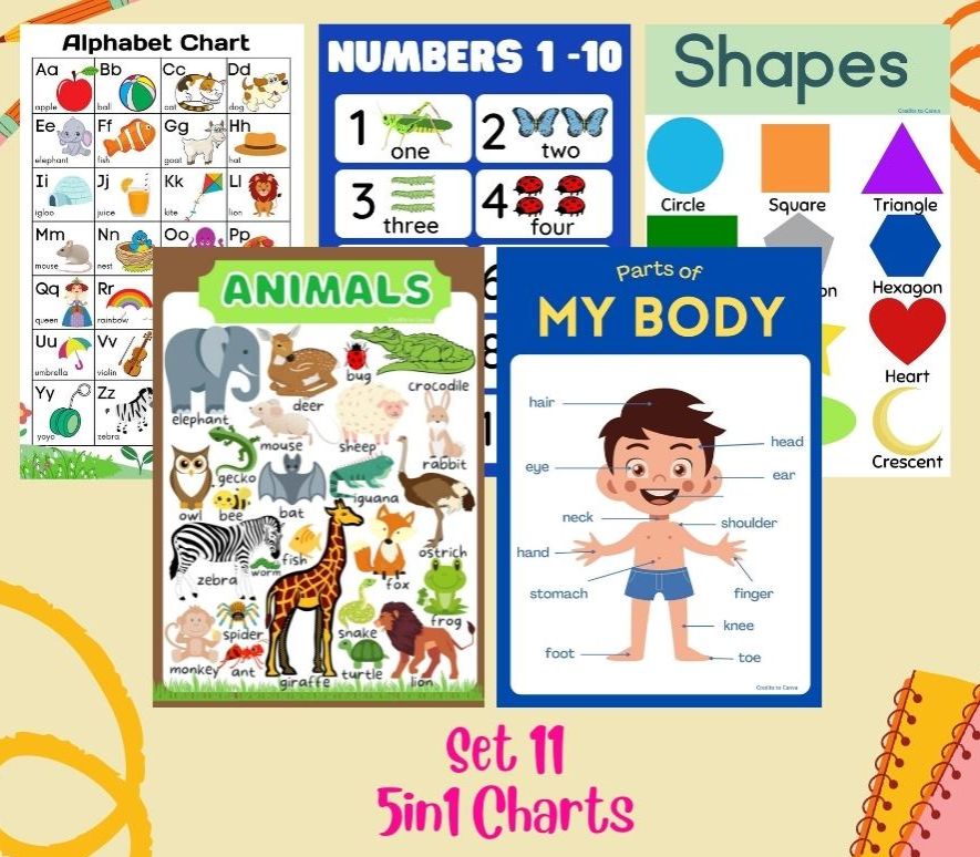 Bundle A4 Charts Laminated Wall Chart for Kids Learning Chart Alphabet ...
