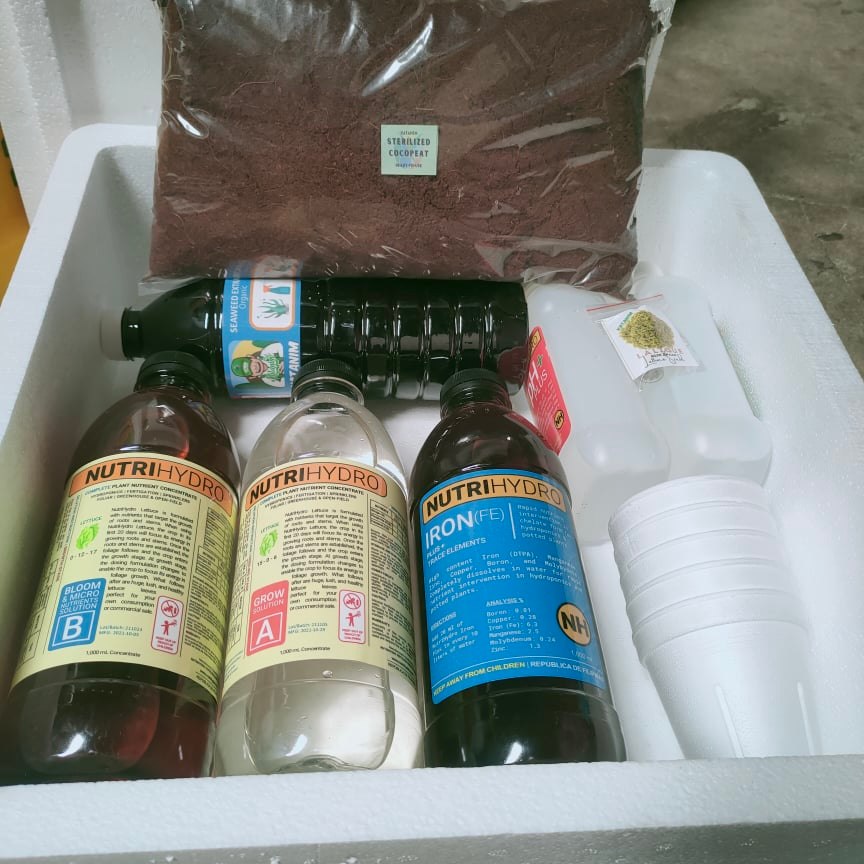 Katanim Hydroponic Starter Pack (FREE Hydroponic BOX plus 5 styro cups ...